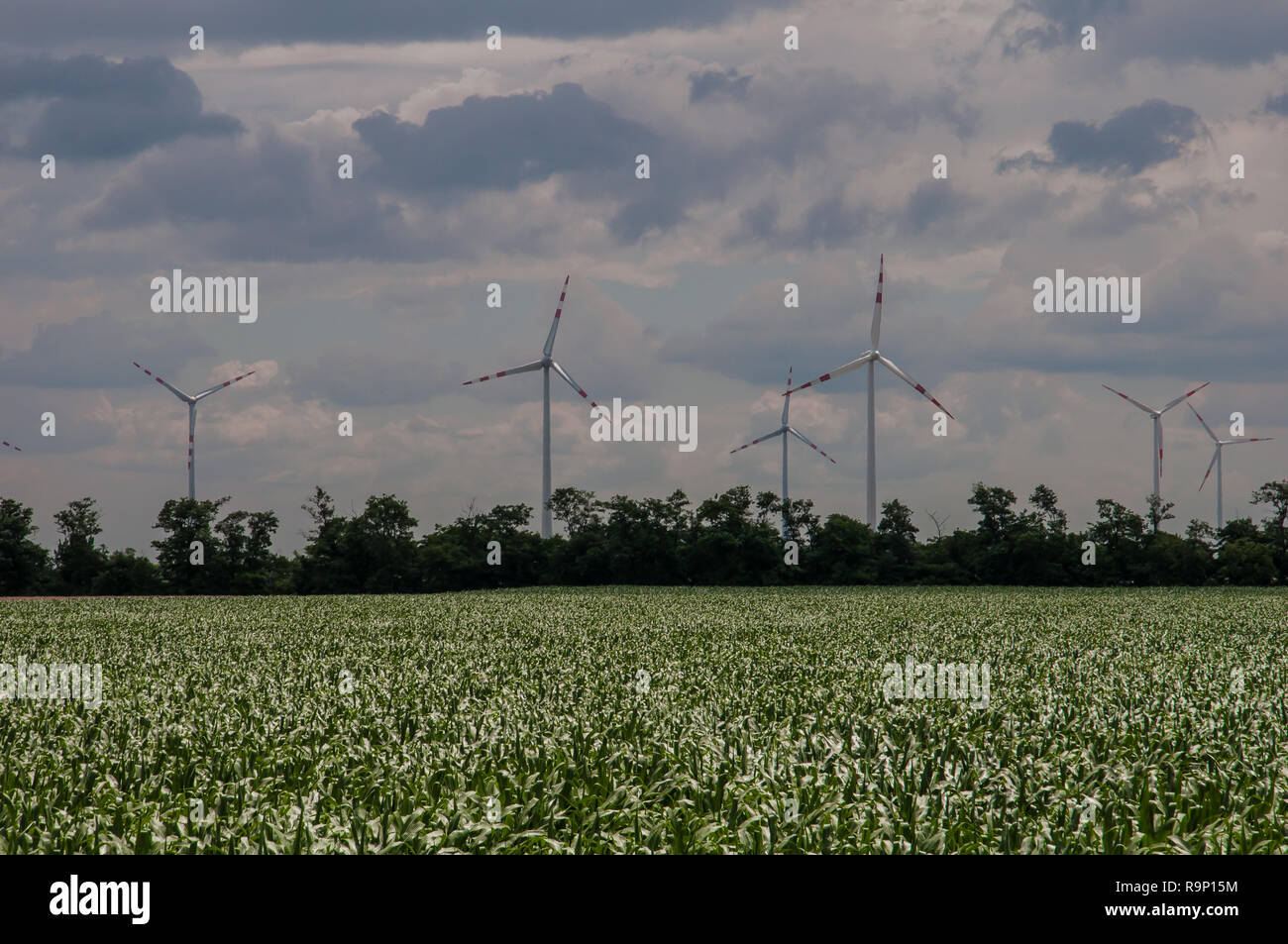 wind power plant, green energy Stock Photo - Alamy