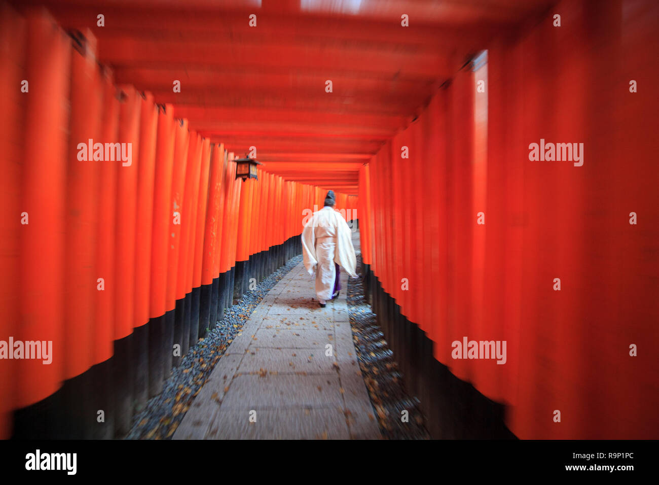 The red torii gates of famous landmark Fushimi Inari shrine, south of ...