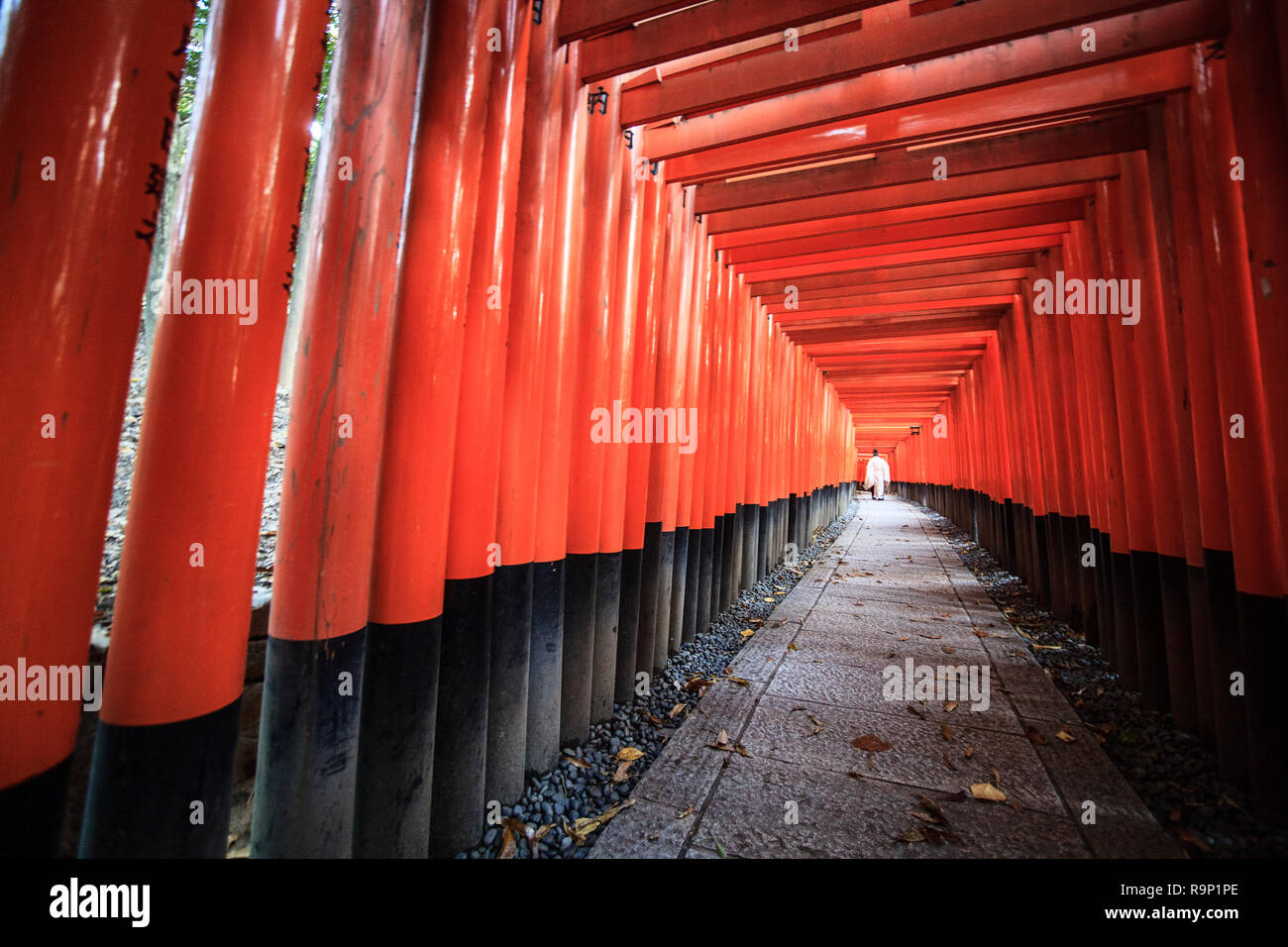 The red torii gates of famous landmark Fushimi Inari shrine, south of ...