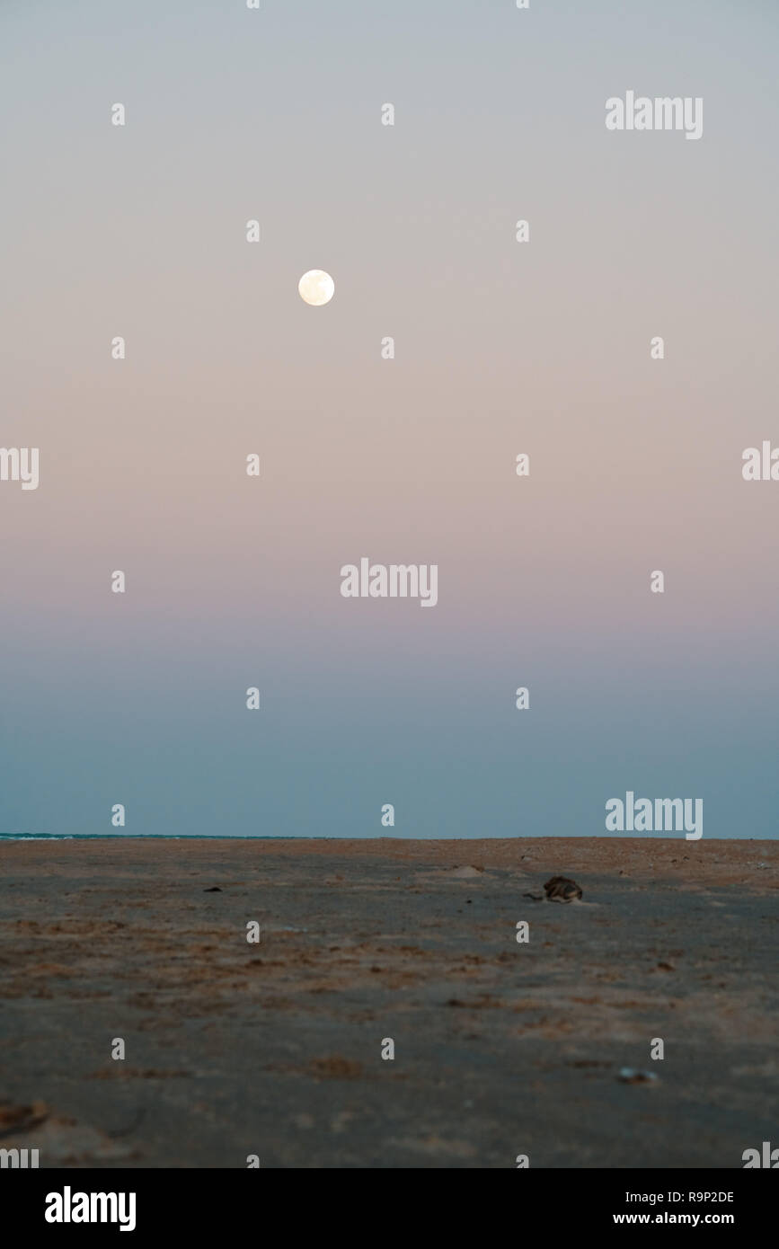 Large moon on the coast hi-res stock photography and images - Alamy