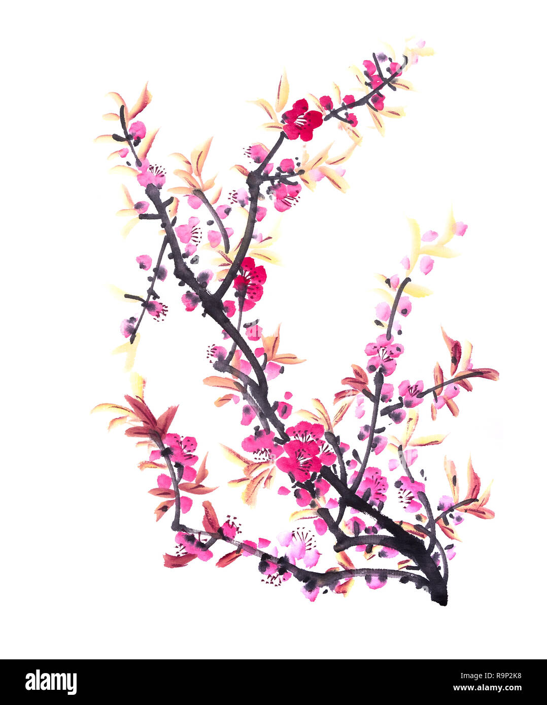 Traditional chinese painting flowers Cut Out Stock Images & Pictures ...