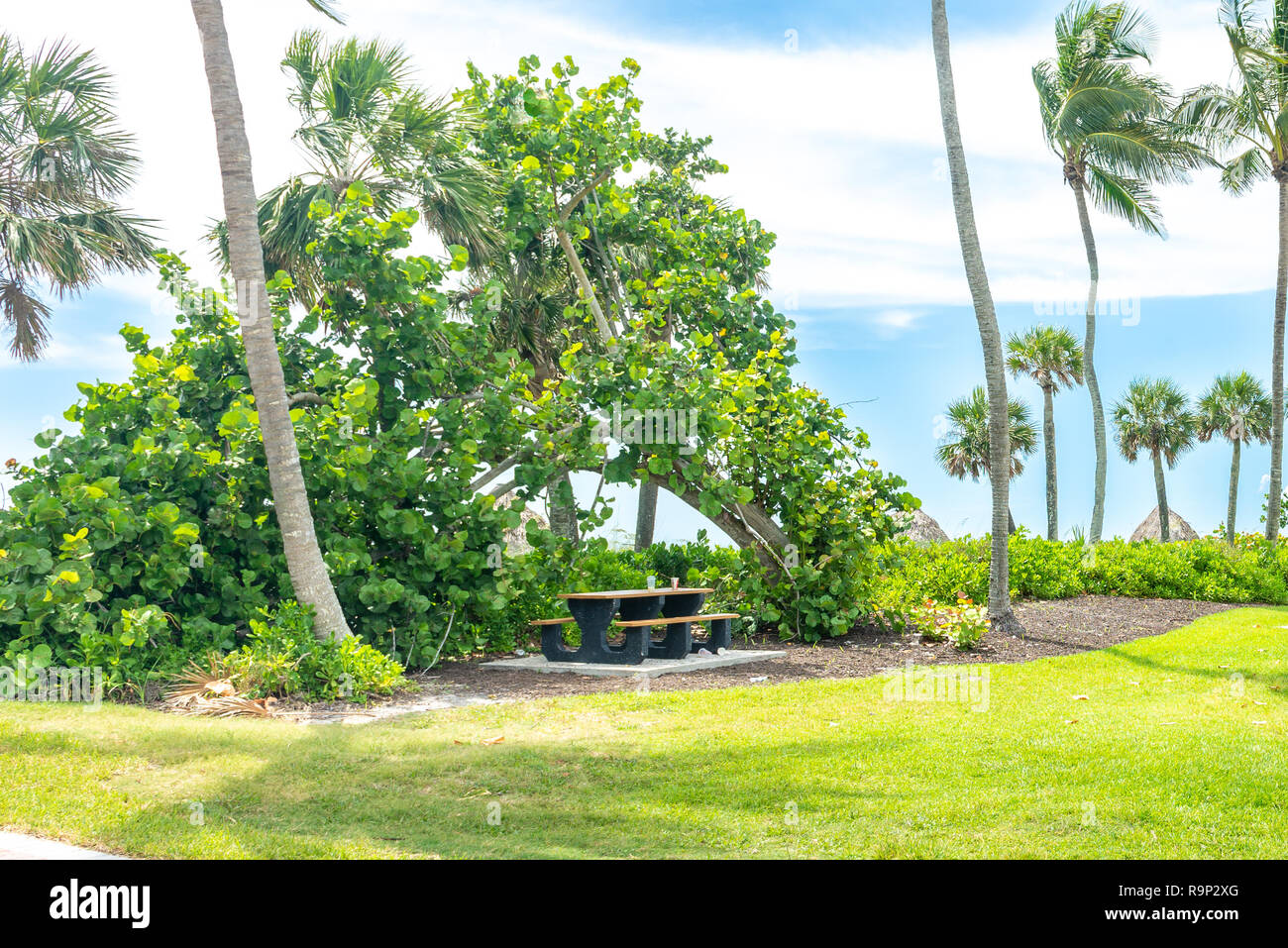 Beach rest area in Naples city by the mexican gulf Stock Photo - Alamy