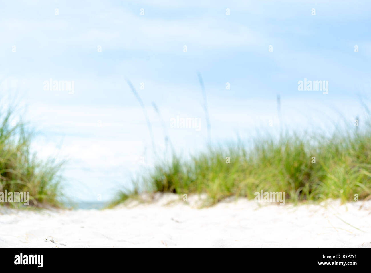 Depth of field on white sandy beach on scenic panorama Stock Photo - Alamy