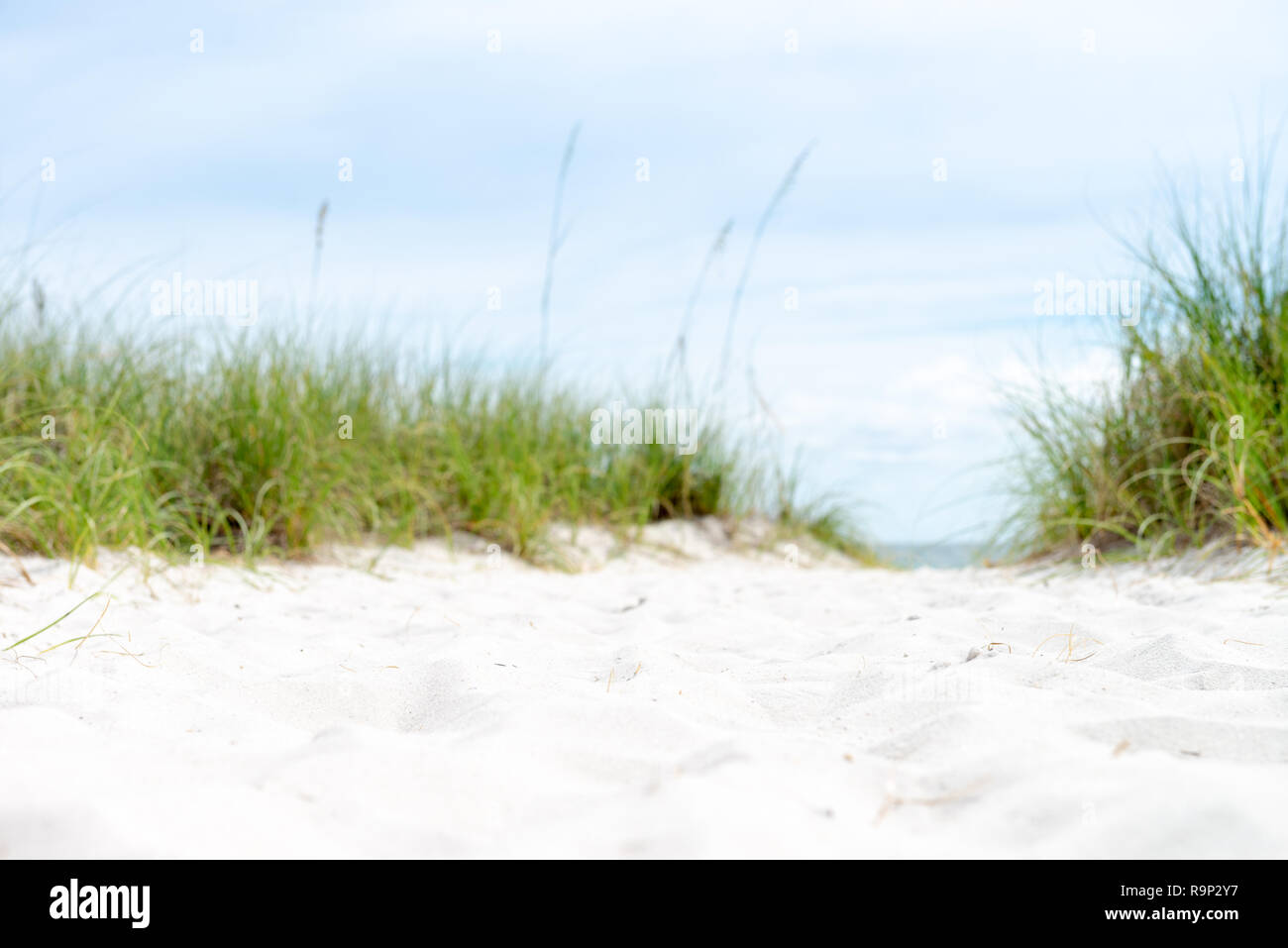 Depth of field on white sandy beach on scenic panorama Stock Photo - Alamy