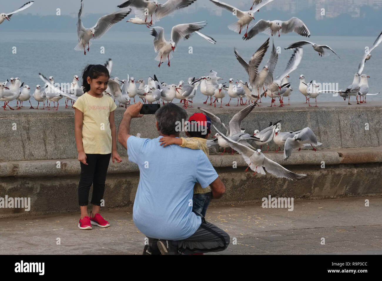 Tourist taking photos seagulls hi-res stock photography and images - Alamy