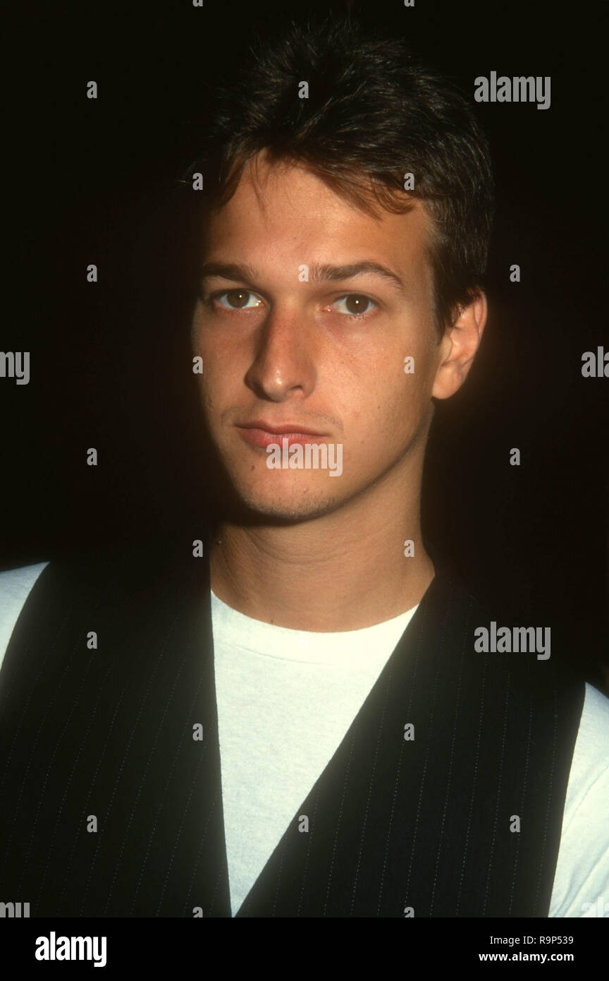 HOLLYWOOD, CA - JUNE 19: Actor Josh Charles attends the Second Annual ...