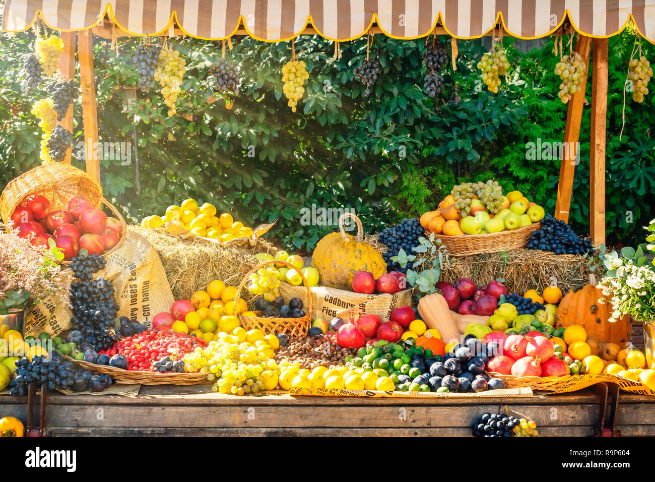 Autumn season agricultural market fair display. Vivid fruits and ...