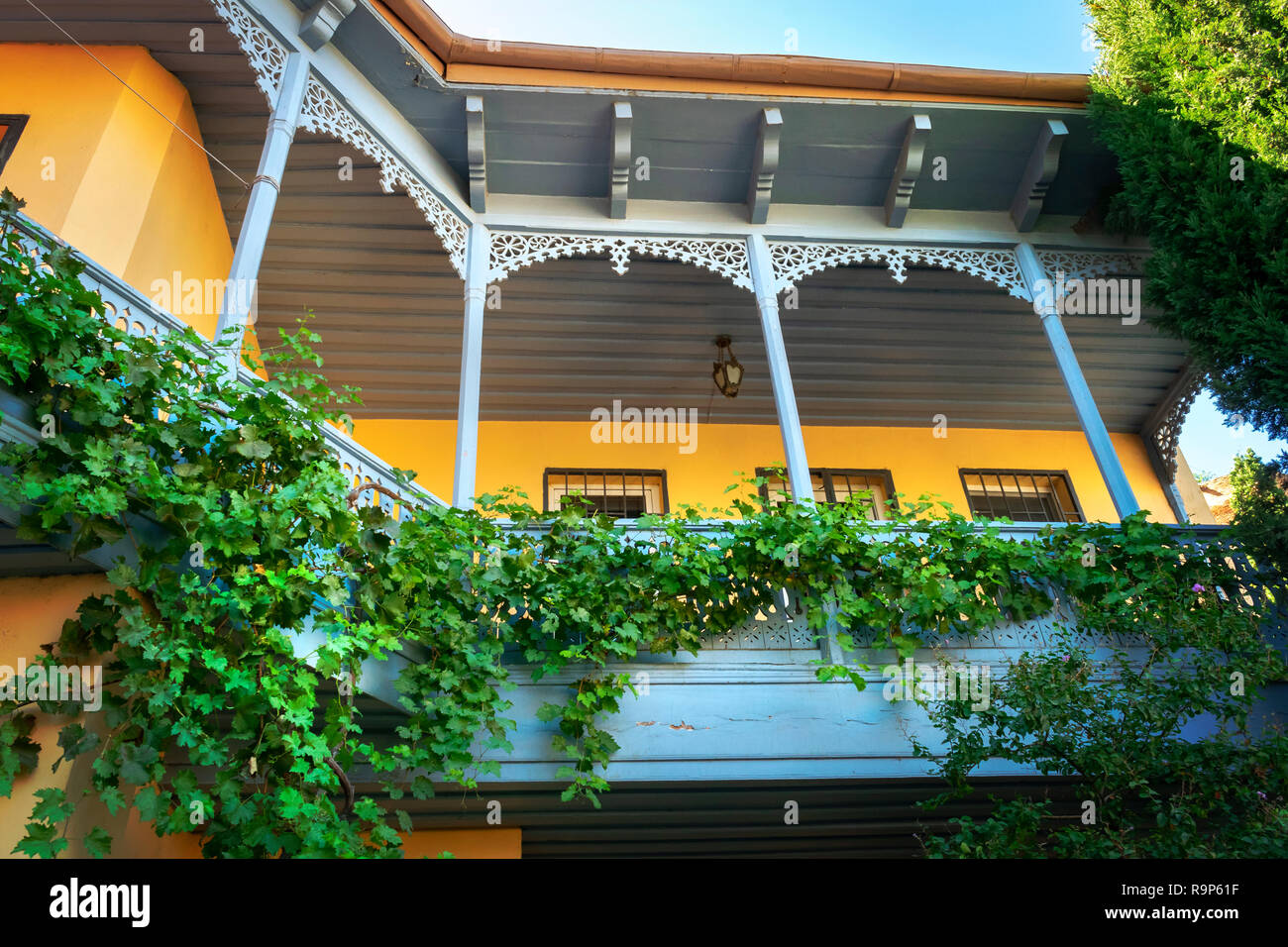 Beautiful and famous colorful Tbilisi wooden balcony with wine grape ...