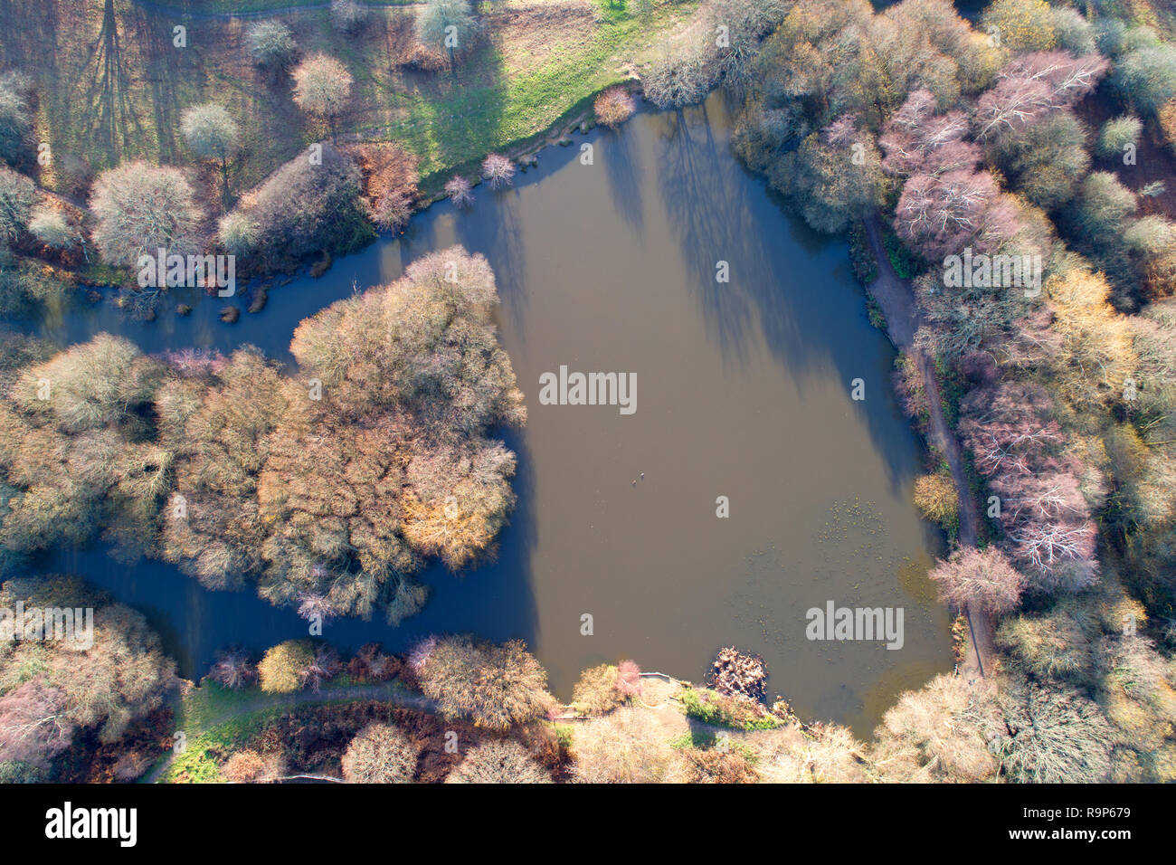 aerial view across ditchling common and pond west sussex england by ...