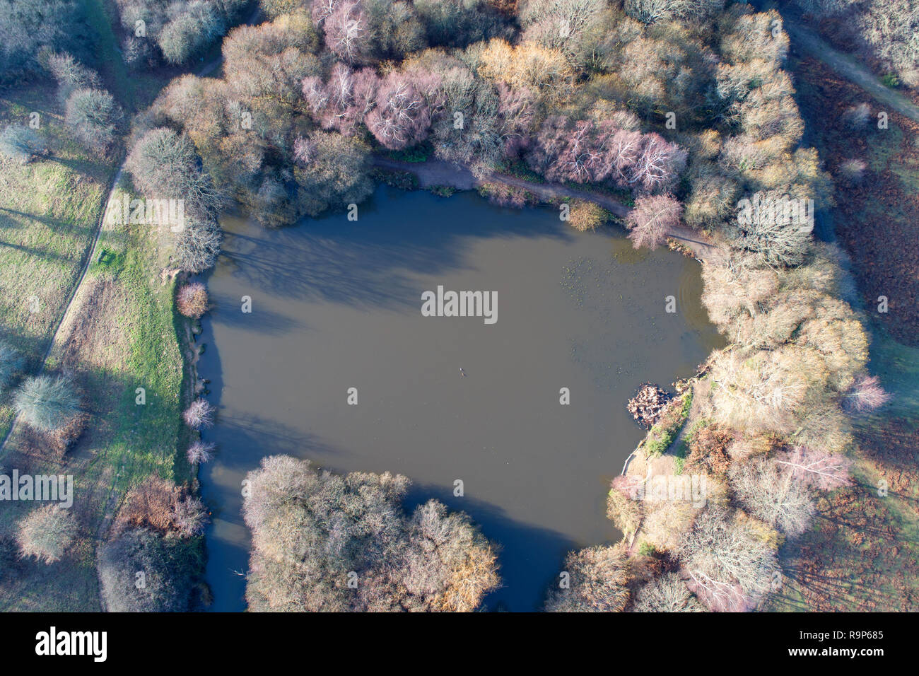 Ditchling common country park hi-res stock photography and images - Alamy