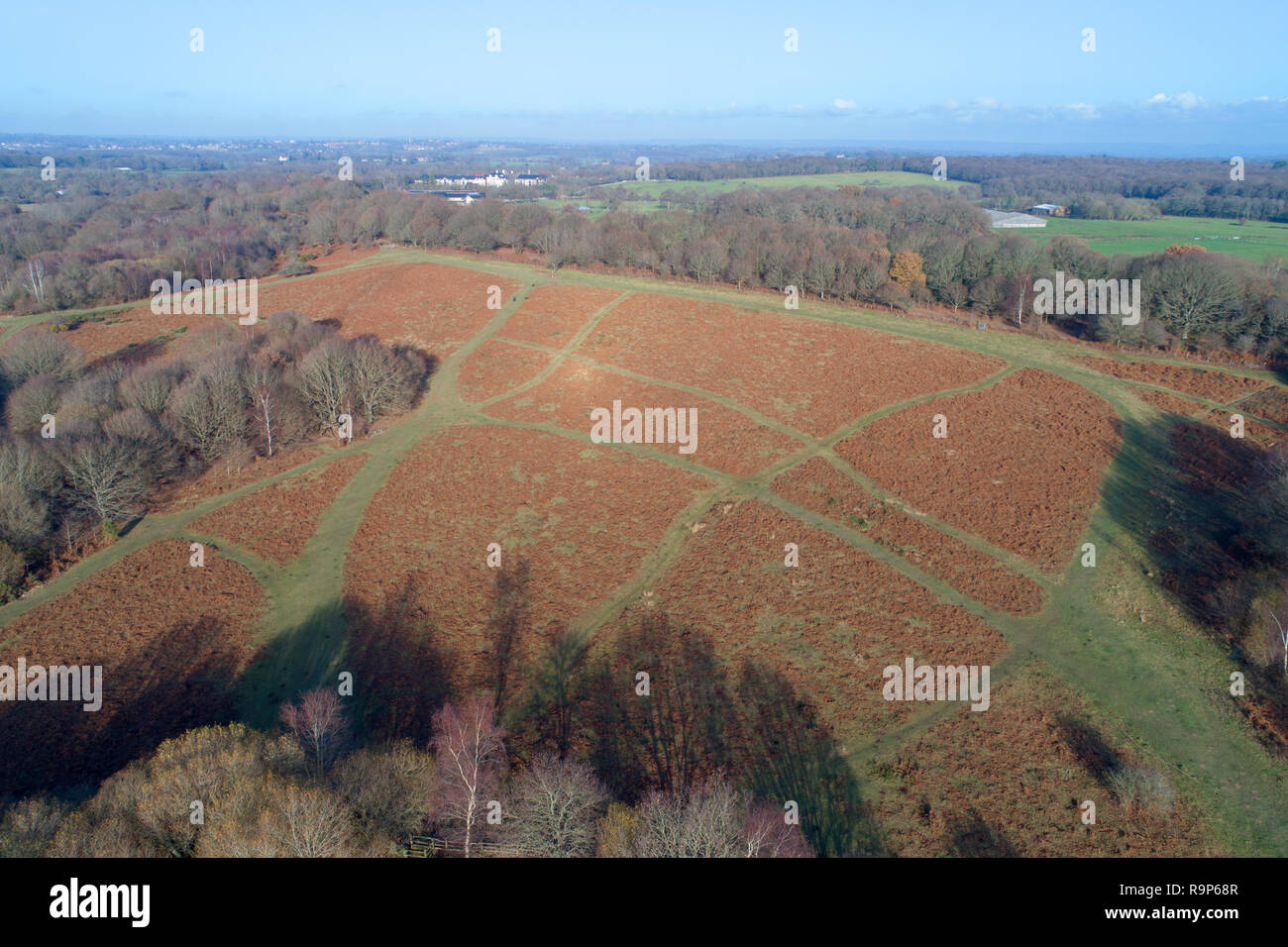 Ditchling common country park hi-res stock photography and images - Alamy