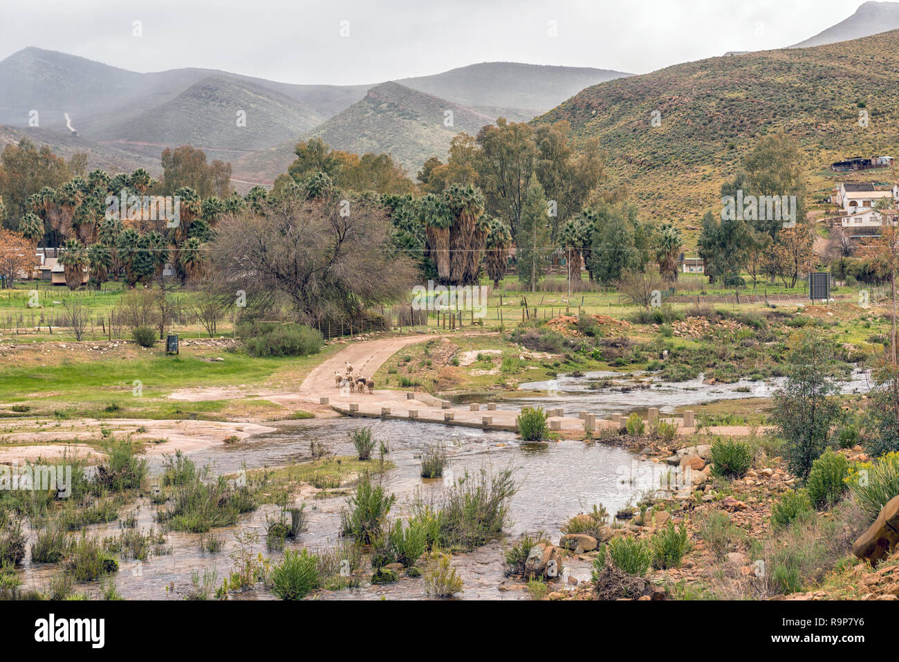 Low water bridge over the Tra Tra River at Wupperthal in the Cederberg ...