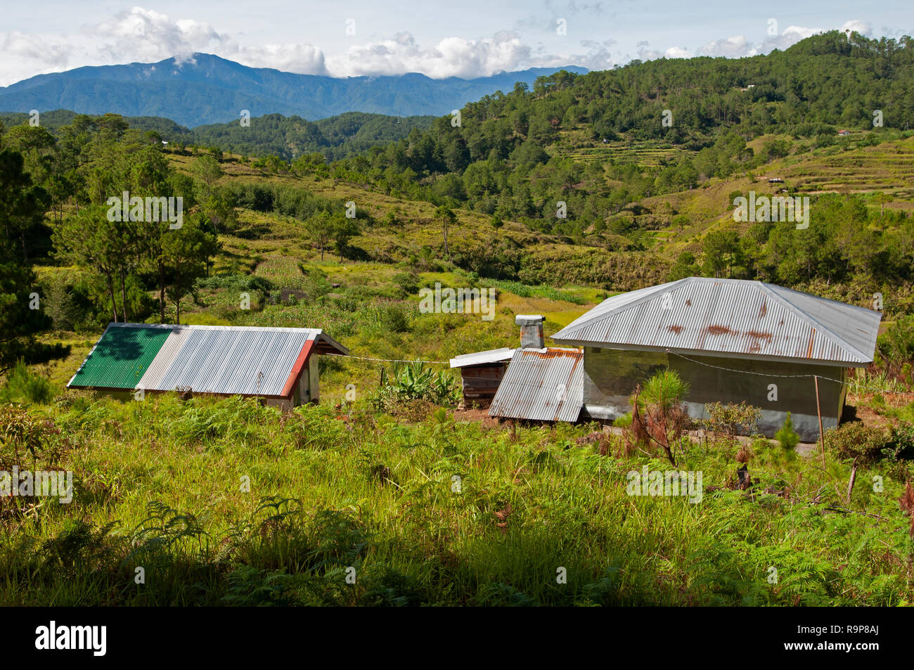 Madongo hi-res stock photography and images - Alamy