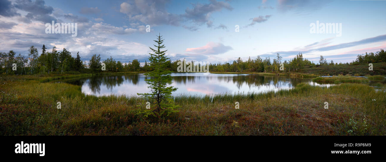 Scenic tundra panorama view hi-res stock photography and images - Alamy