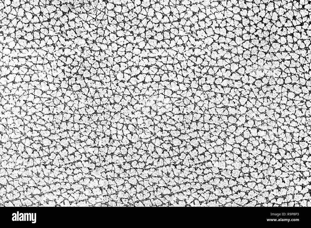 Grey skin texture Black and White Stock Photos & Images - Alamy