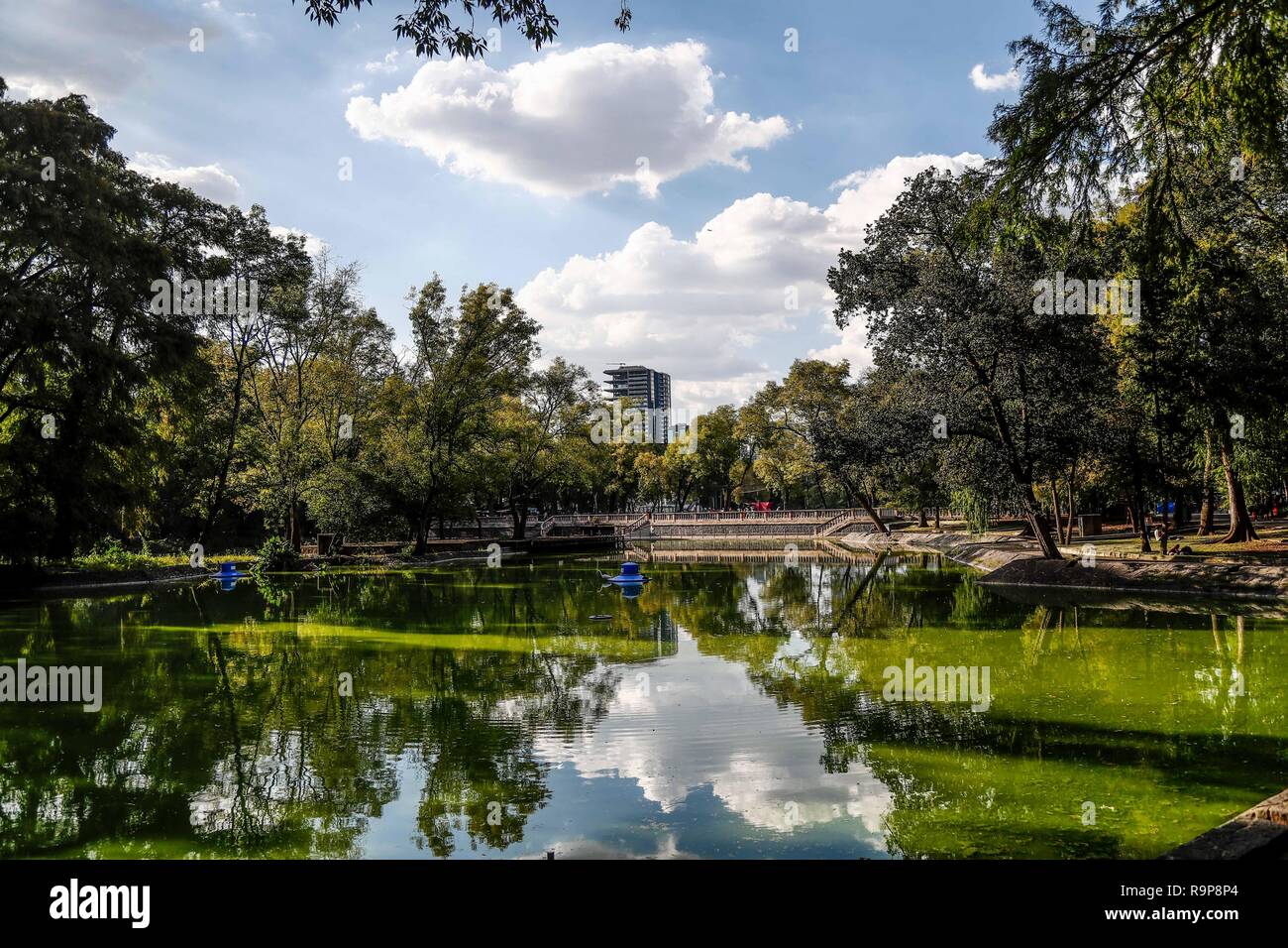 El bosque de Chapultepec. parque urbano en la Ciudad de México. (Foto ...