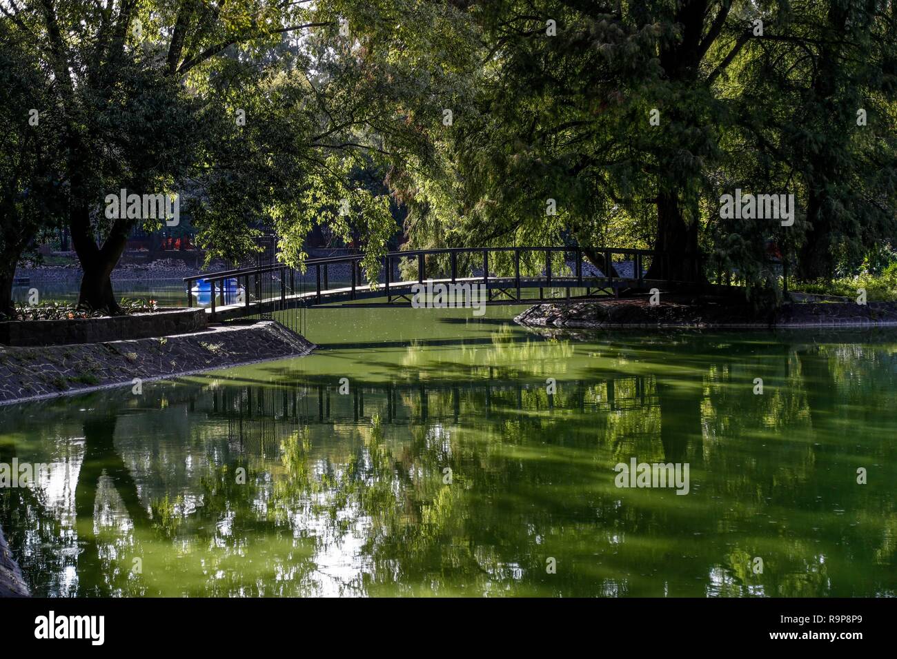 El bosque de Chapultepec. parque urbano en la Ciudad de México. (Foto ...