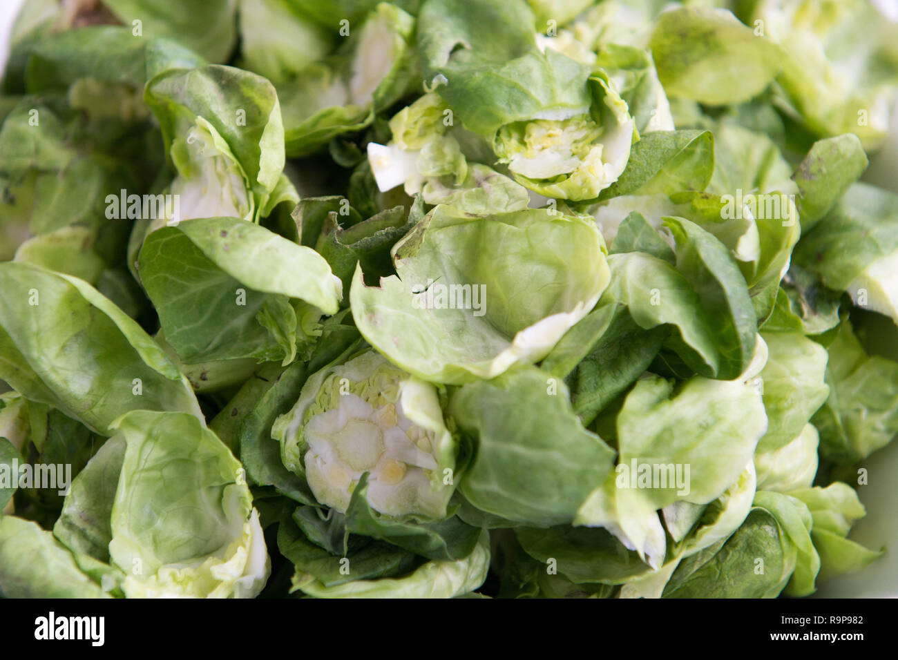 Fresh green brussel sprout waste Stock Photo - Alamy
