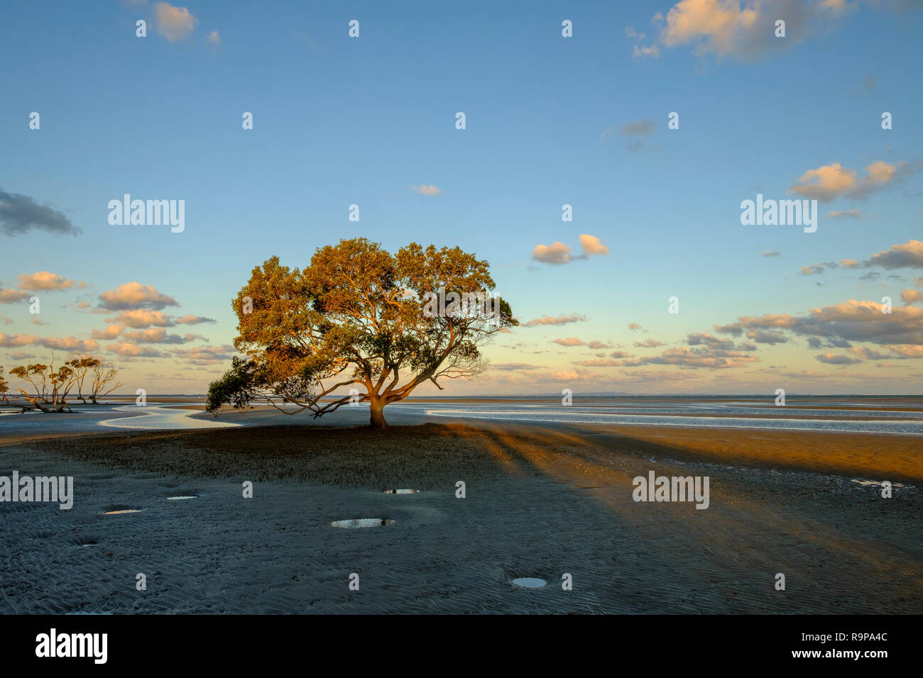 Beachmere queensland hi-res stock photography and images - Alamy