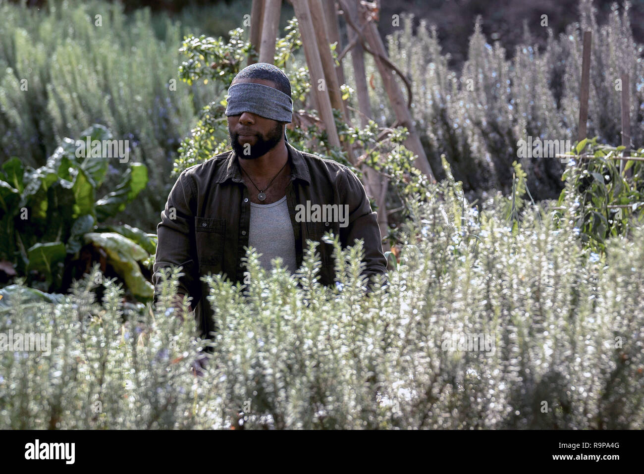 BIRD BOX, Trevante Rhodes, 2018. ph: Saeed Adyani / © Netflix /Courtesy ...
