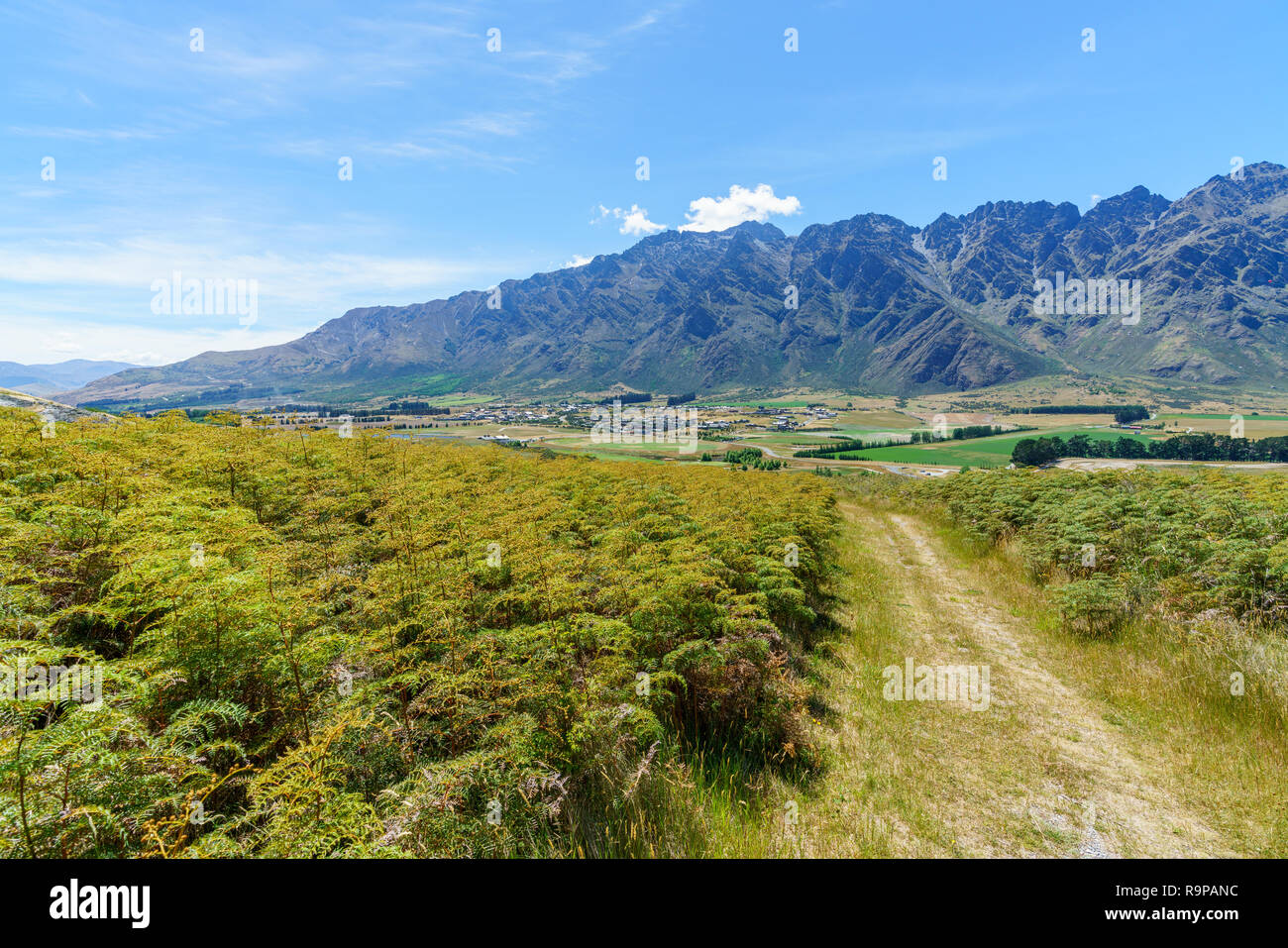 Jacks point new zealand hi-res stock photography and images - Alamy