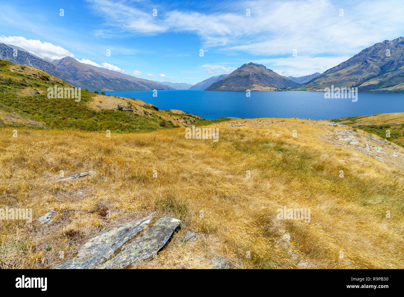 Jacks point new zealand hi-res stock photography and images - Alamy