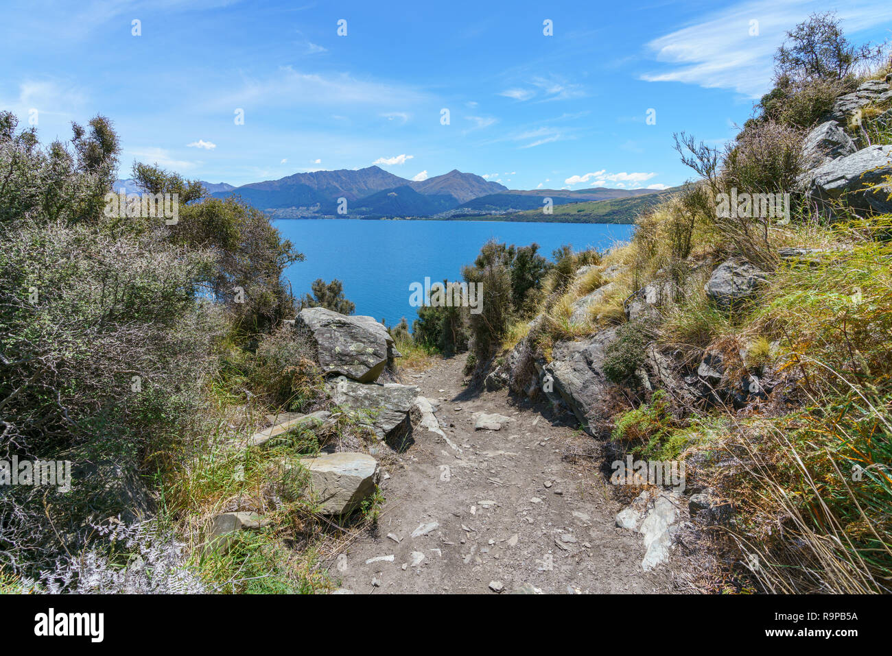 hiking jacks point track with view of lake wakatipu, queenstown ...