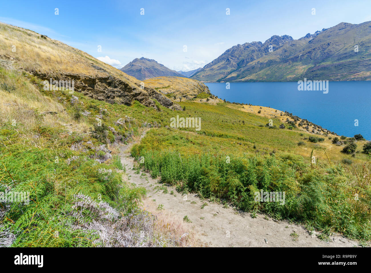 Jacks point new zealand hi-res stock photography and images - Alamy