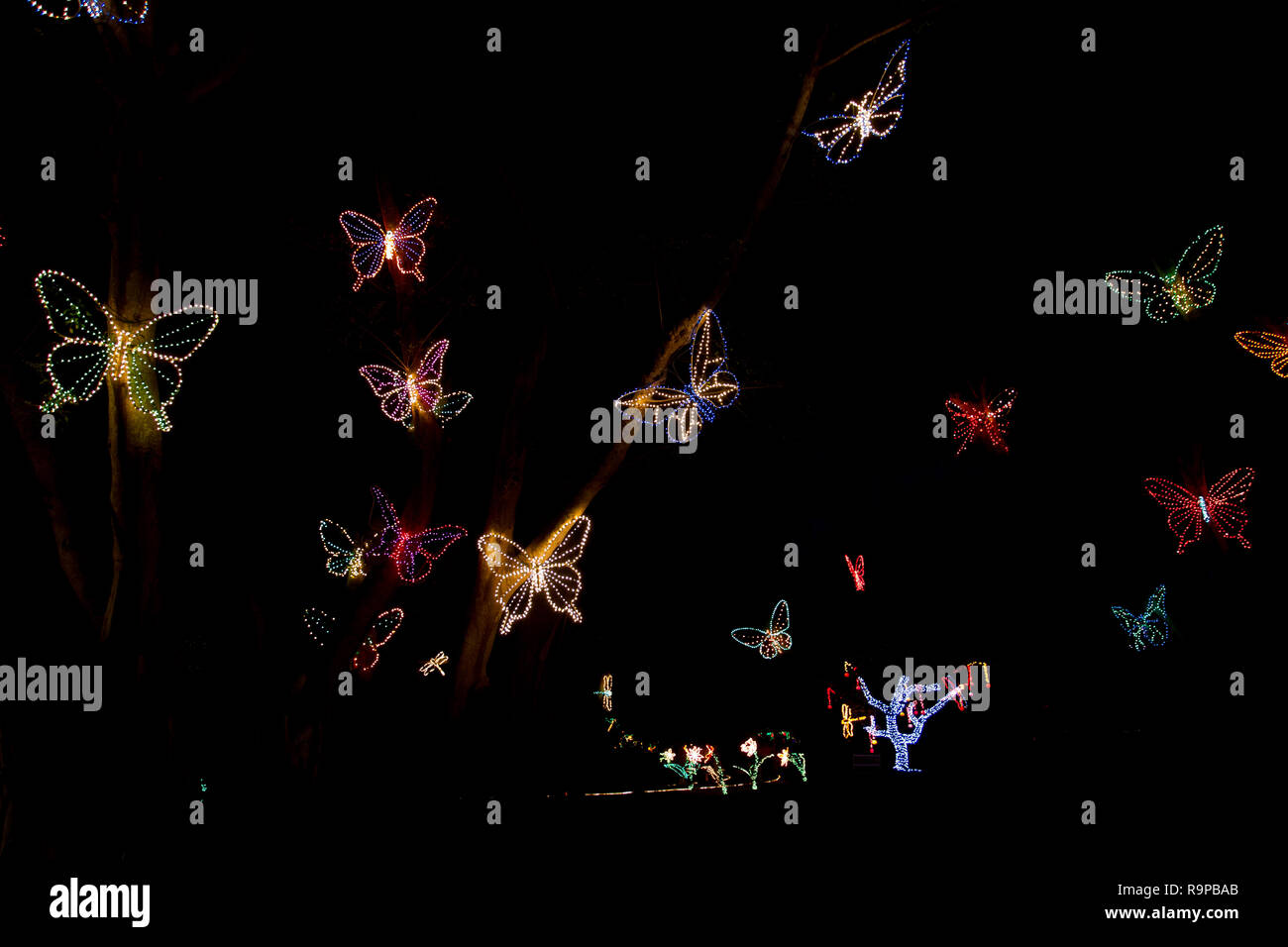 Christmas lights fly as butterflies in the night Stock Photo - Alamy