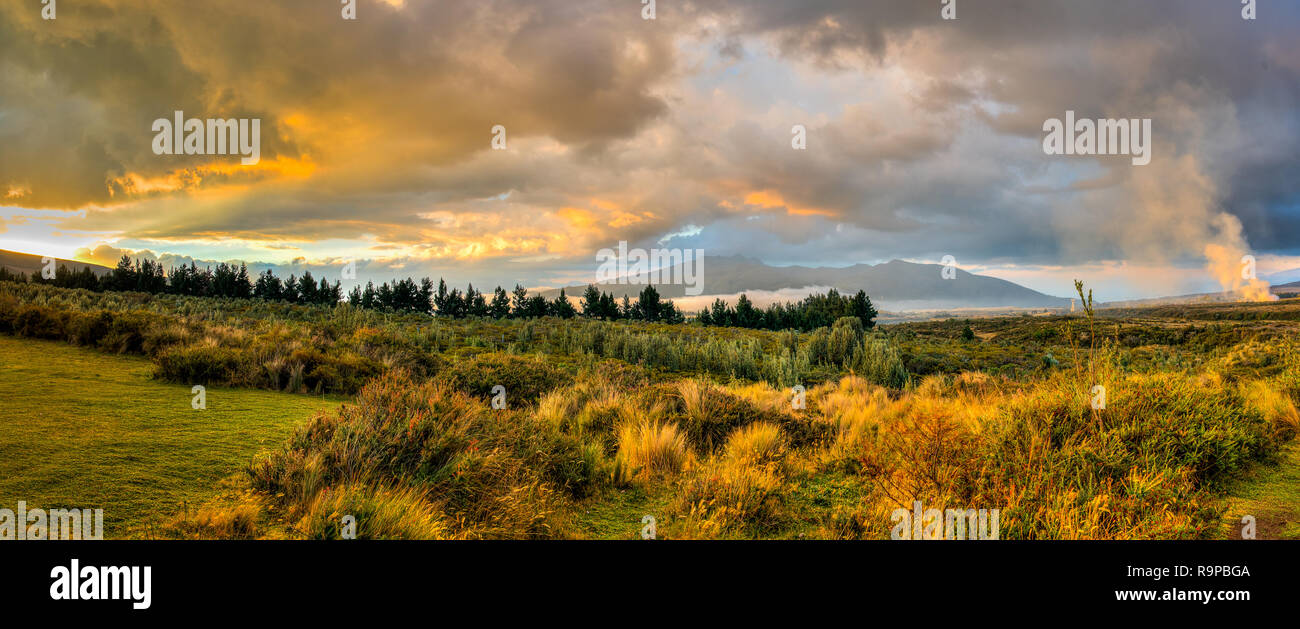 Sunset in Ecuador's Cotopaxi National Park Stock Photo - Alamy