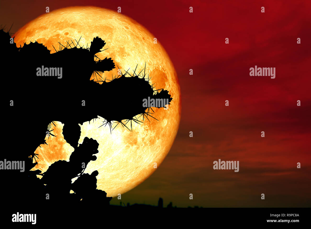 full blood moon back silhouette cactus in desert, Elements of this ...