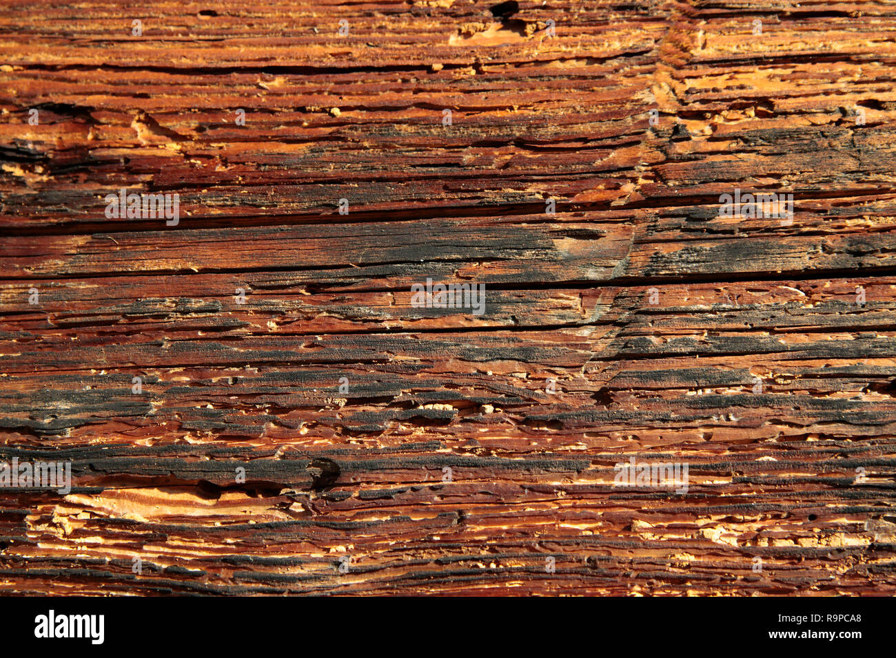 layers of very old wood Stock Photo - Alamy