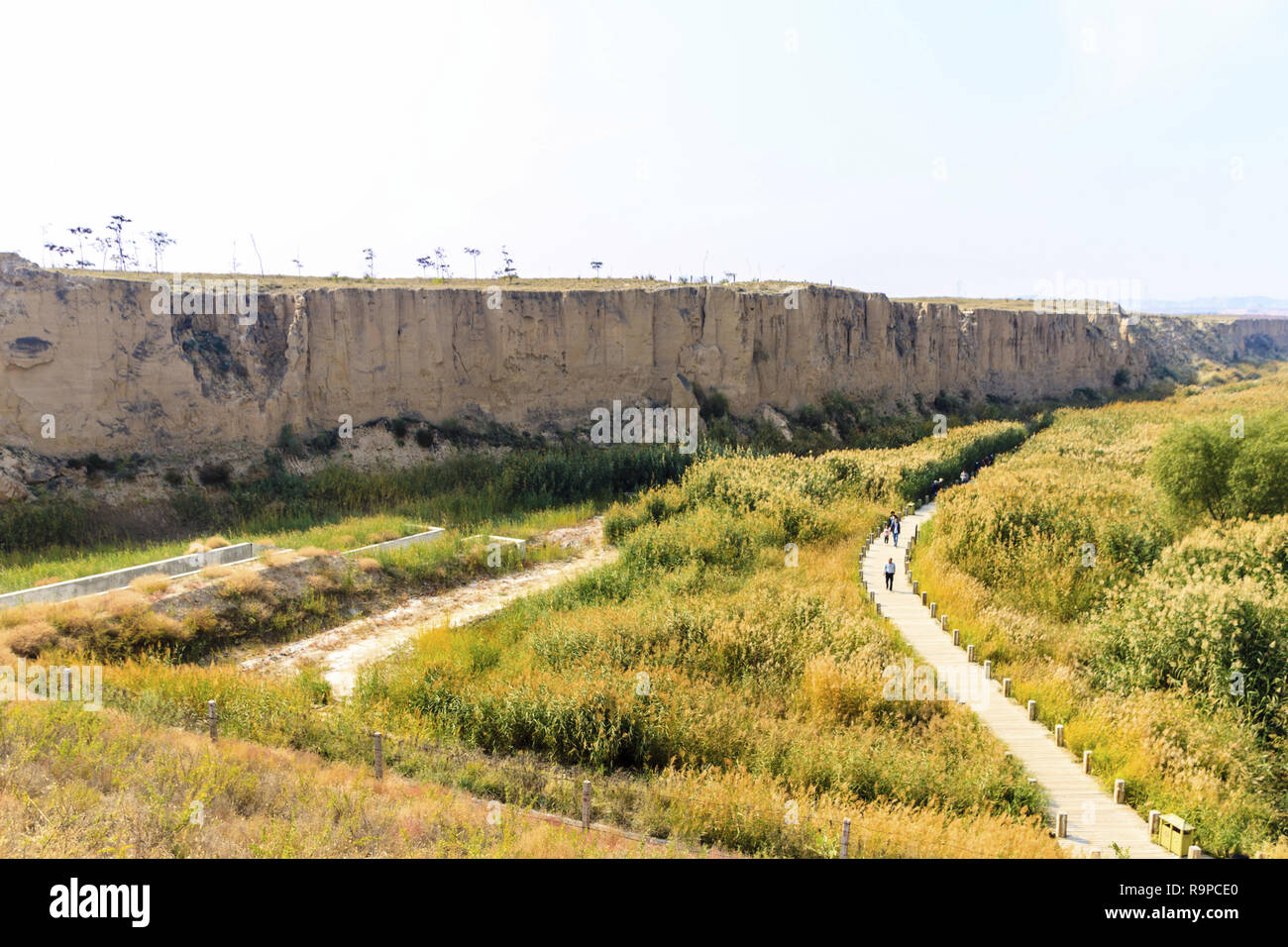 Fly eaves hi-res stock photography and images - Alamy