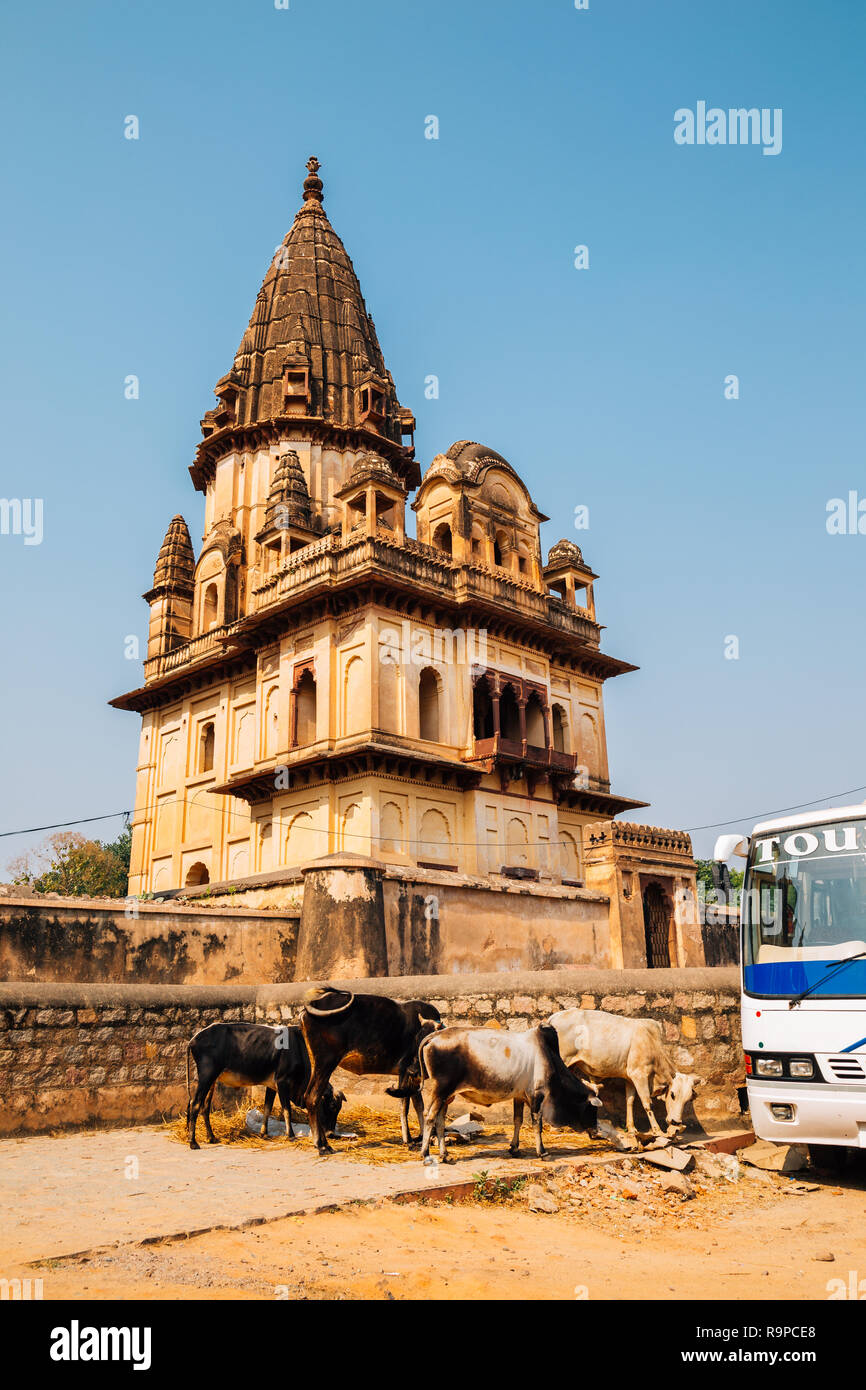 Royal chhatris of orchha hi-res stock photography and images - Alamy