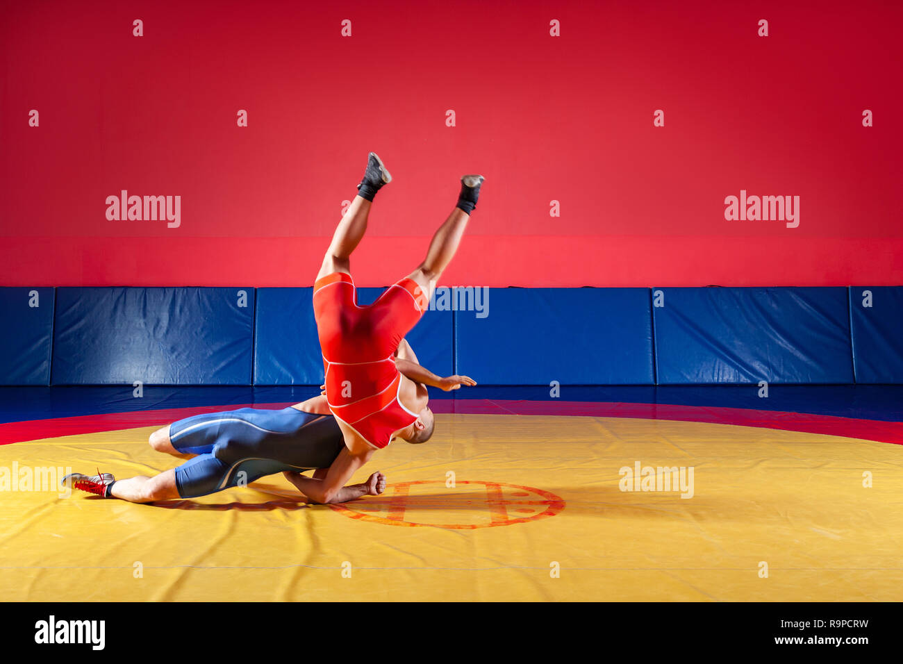 Two strong wrestlers in blue and red wrestling tights are wrestlng and ...