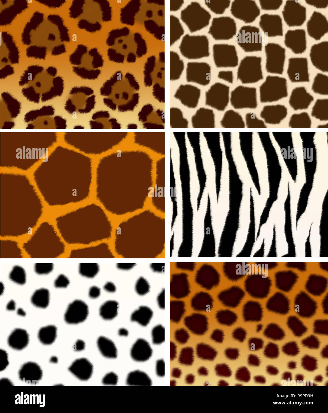 Set - animals skins textures Stock Photo - Alamy