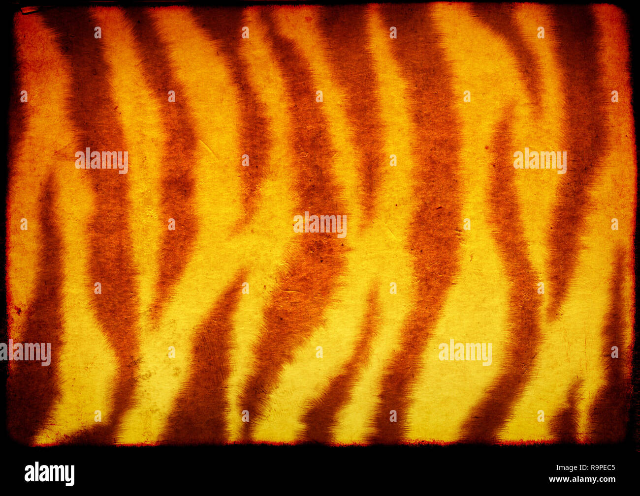 Parchment animal skin hi-res stock photography and images - Alamy