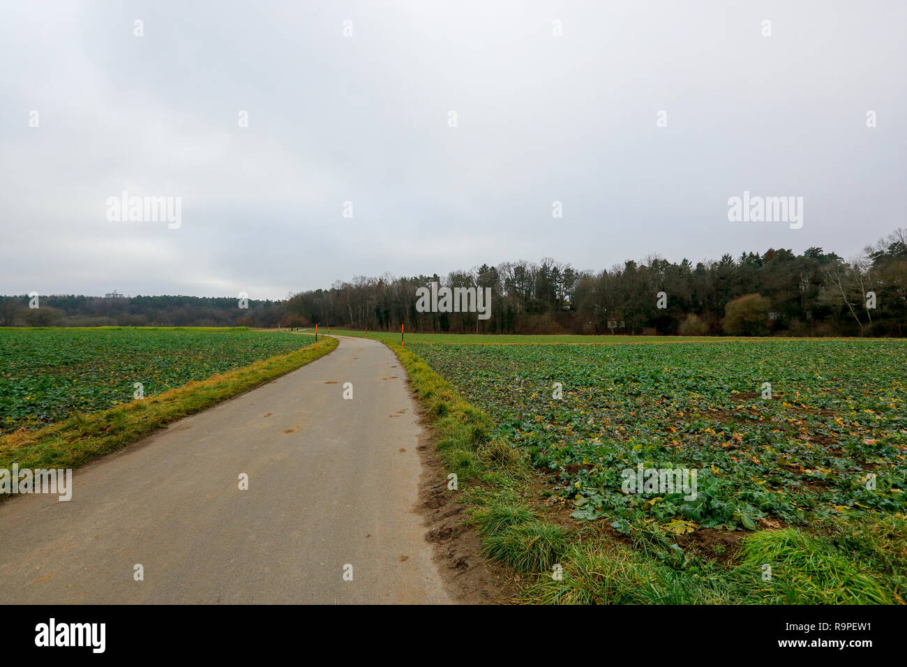 Agricultural field at Stein. Nuremberg. Bavaria, Germany Stock Photo ...