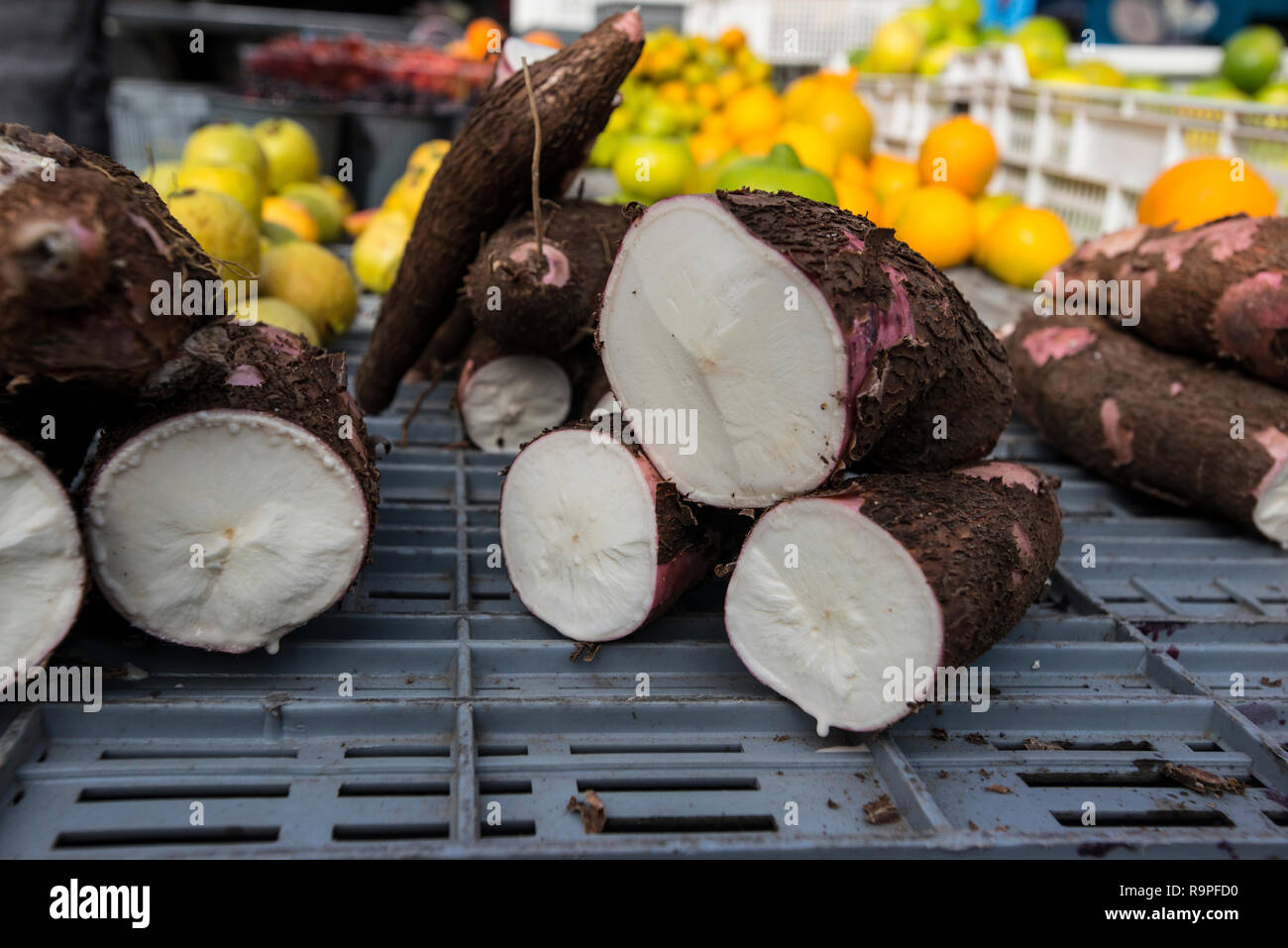 Manioc fruit hi-res stock photography and images - Alamy