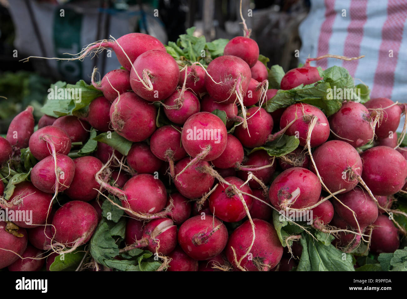 Ifs2019 hi-res stock photography and images - Alamy