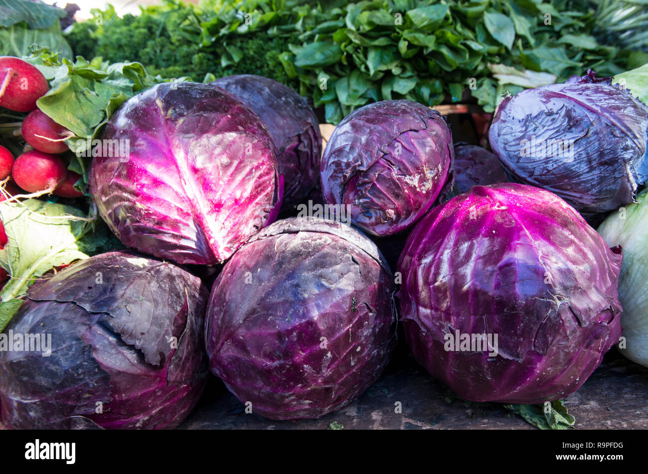 Fresh raddish and cabbage Stock Photo - Alamy