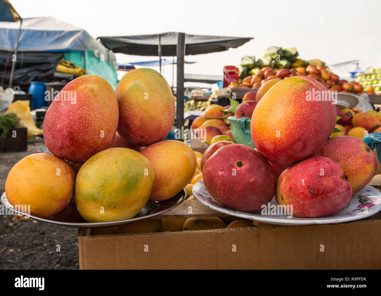A stack of mangoes Stock Photo - Alamy