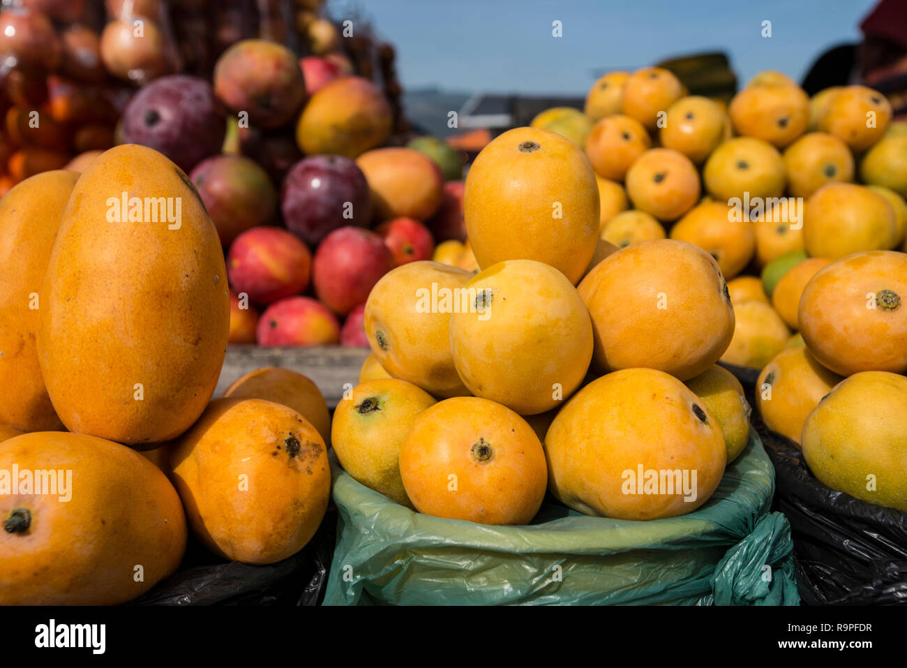 Piled mangoes hi-res stock photography and images - Alamy