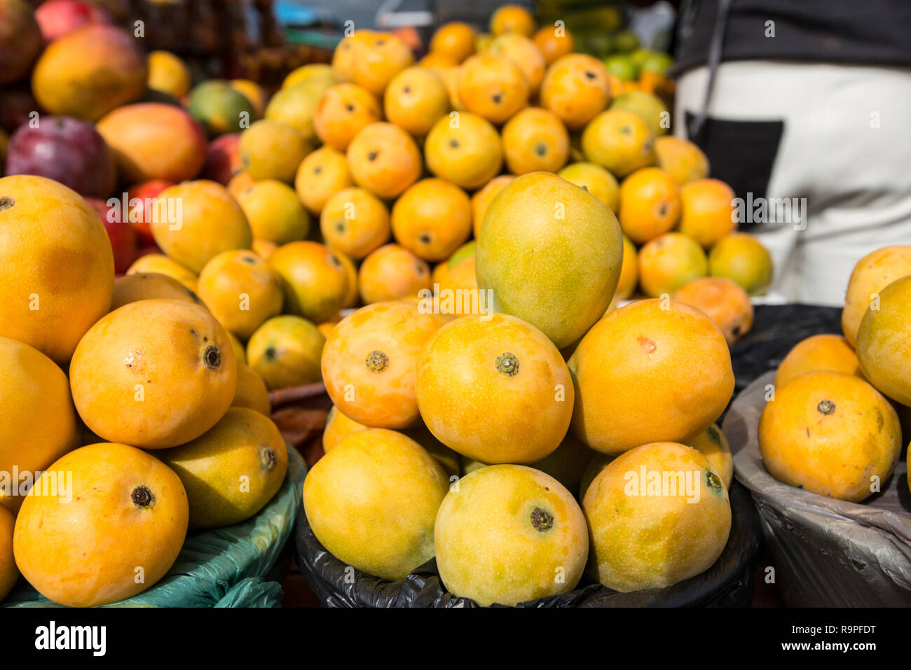 A stack of mangoes Stock Photo - Alamy