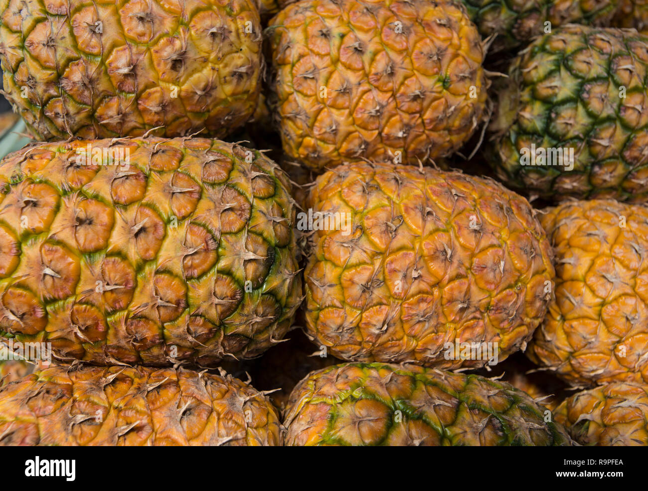 Capital of pineapple hi-res stock photography and images - Alamy