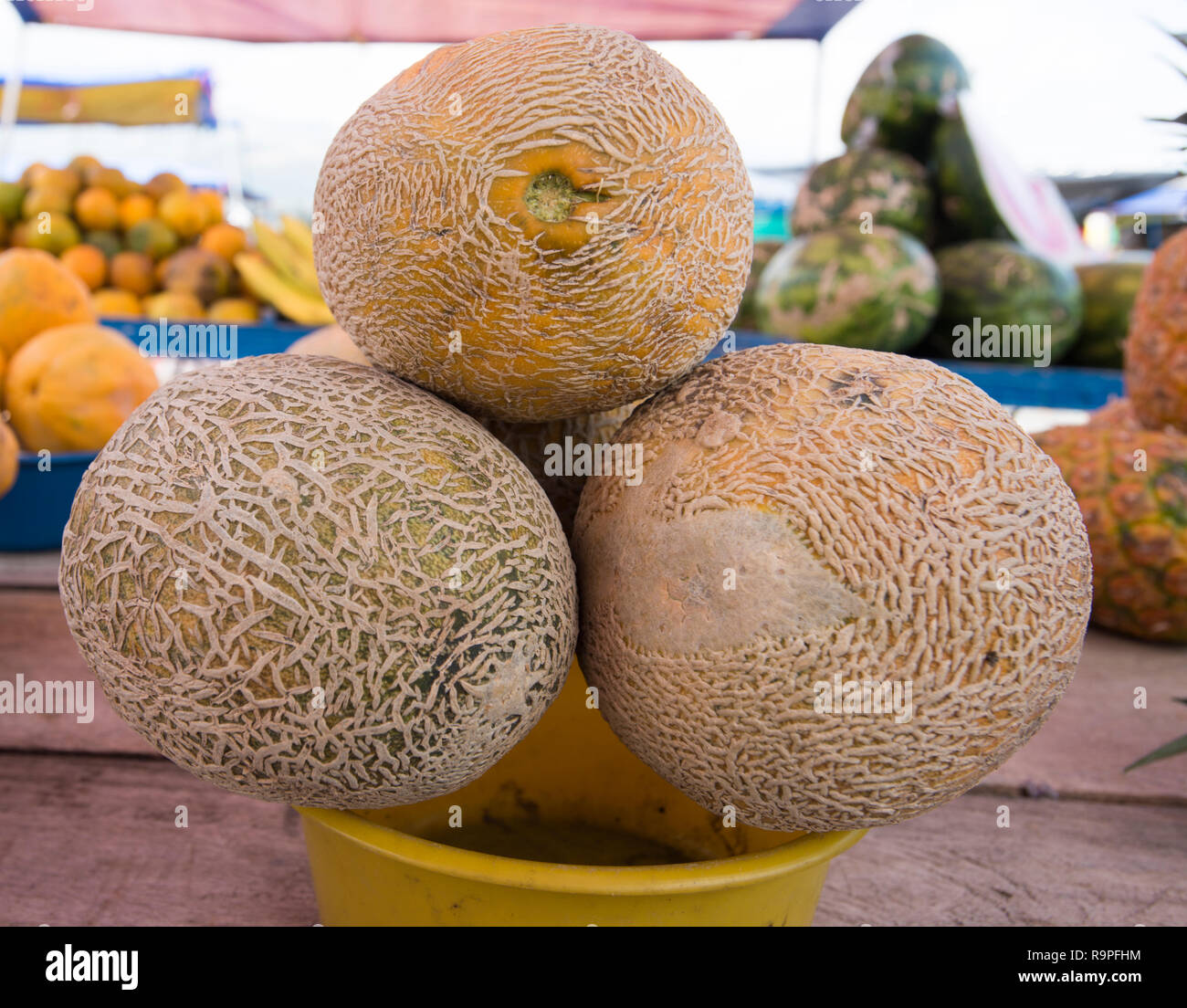 Melon for sale hi-res stock photography and images - Alamy