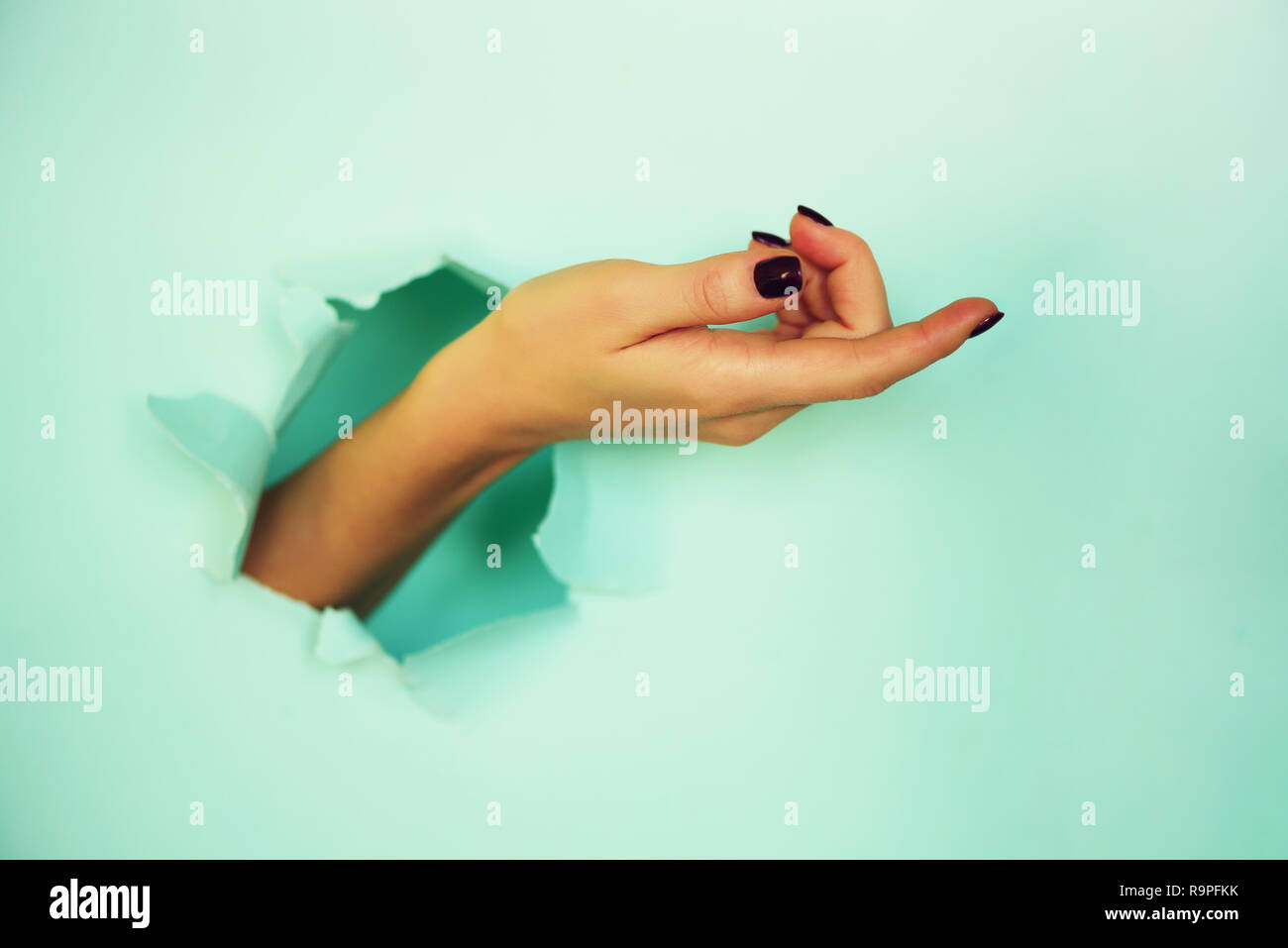 Woman hand popping out of hole blue paper background. Gesture concept ...