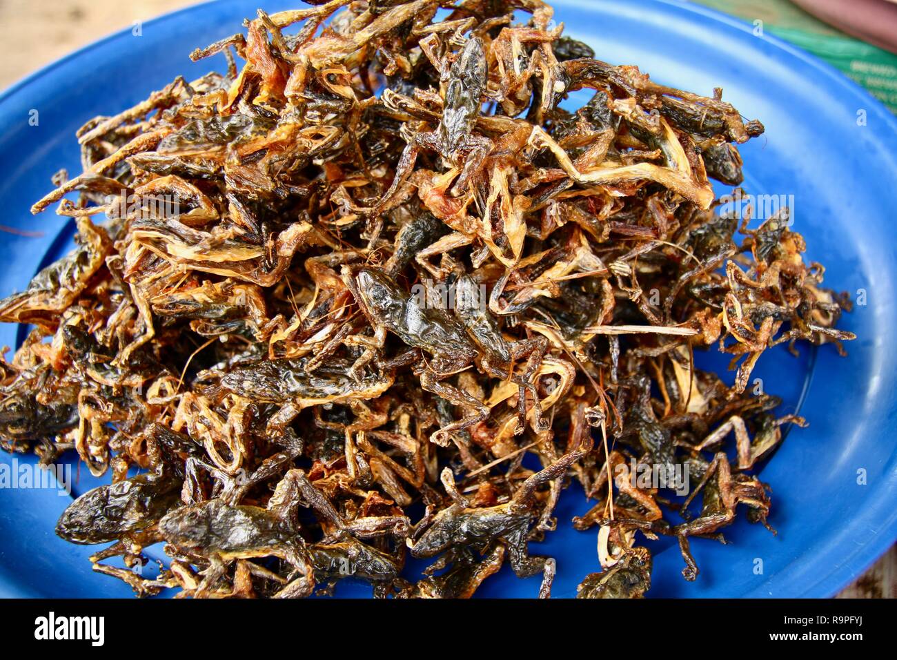 Fried frogs street food snacks at a roadside stall in Cambodia Stock ...
