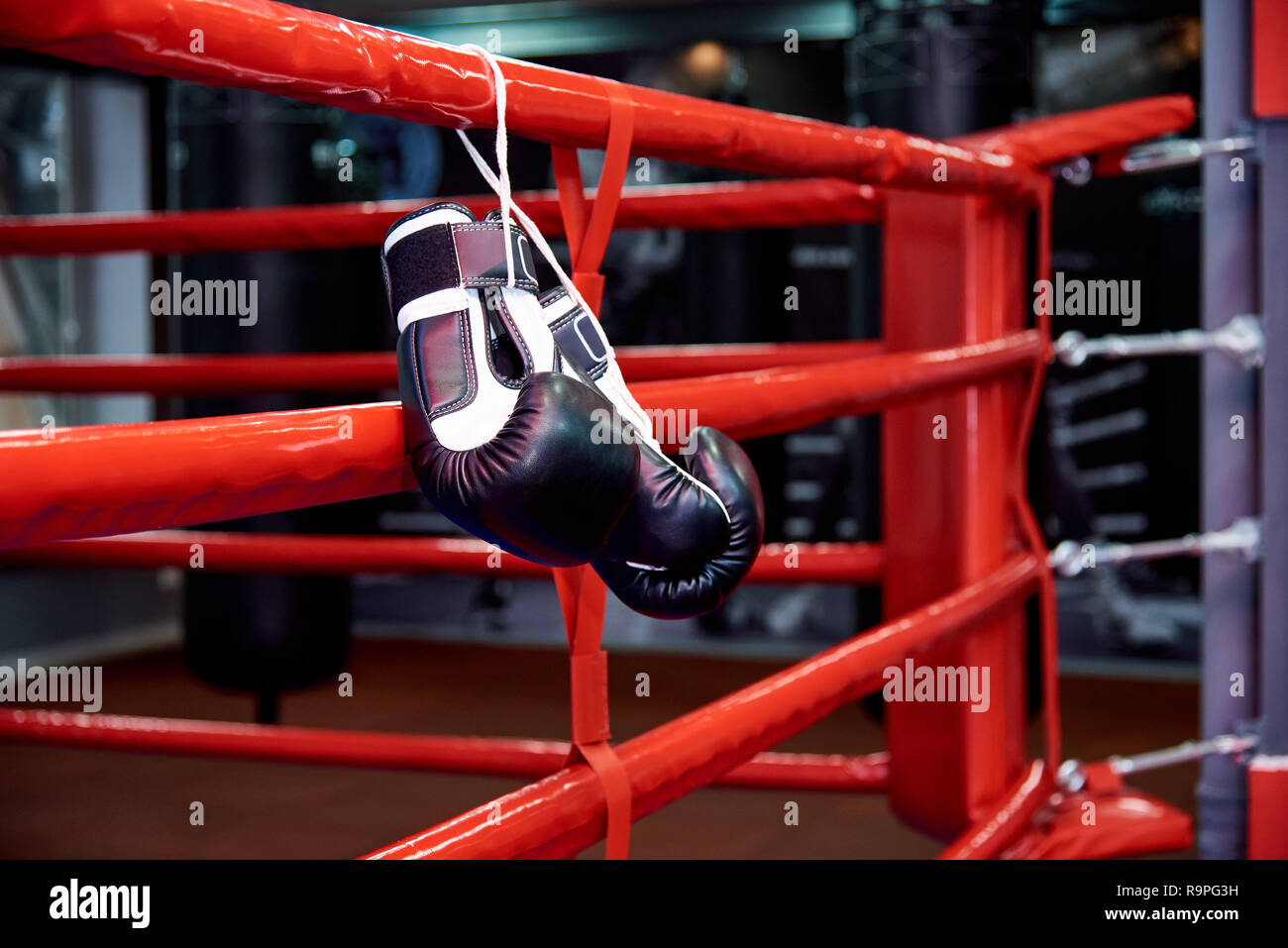 Boxing gloves in a boxing ring with bags in the gym Stock Photo - Alamy