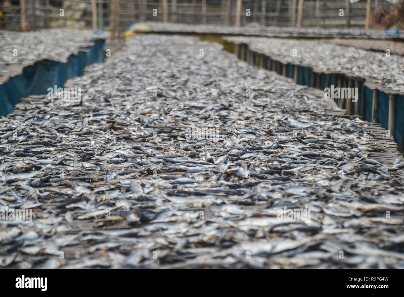 Chhuri dried fish hi-res stock photography and images - Alamy
